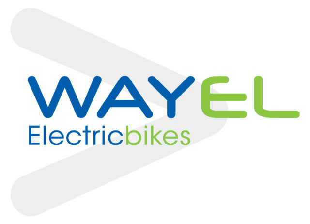 Un progetto che guarda al futuro della mobilità elettrica