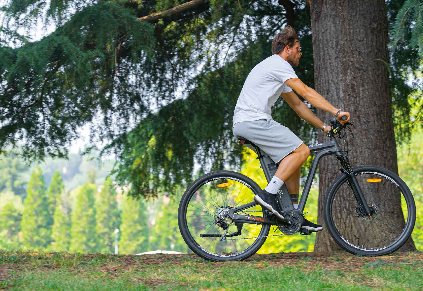 Bici Elettriche - Bicicletta Elettrica - Pedalata Assistita Wayel