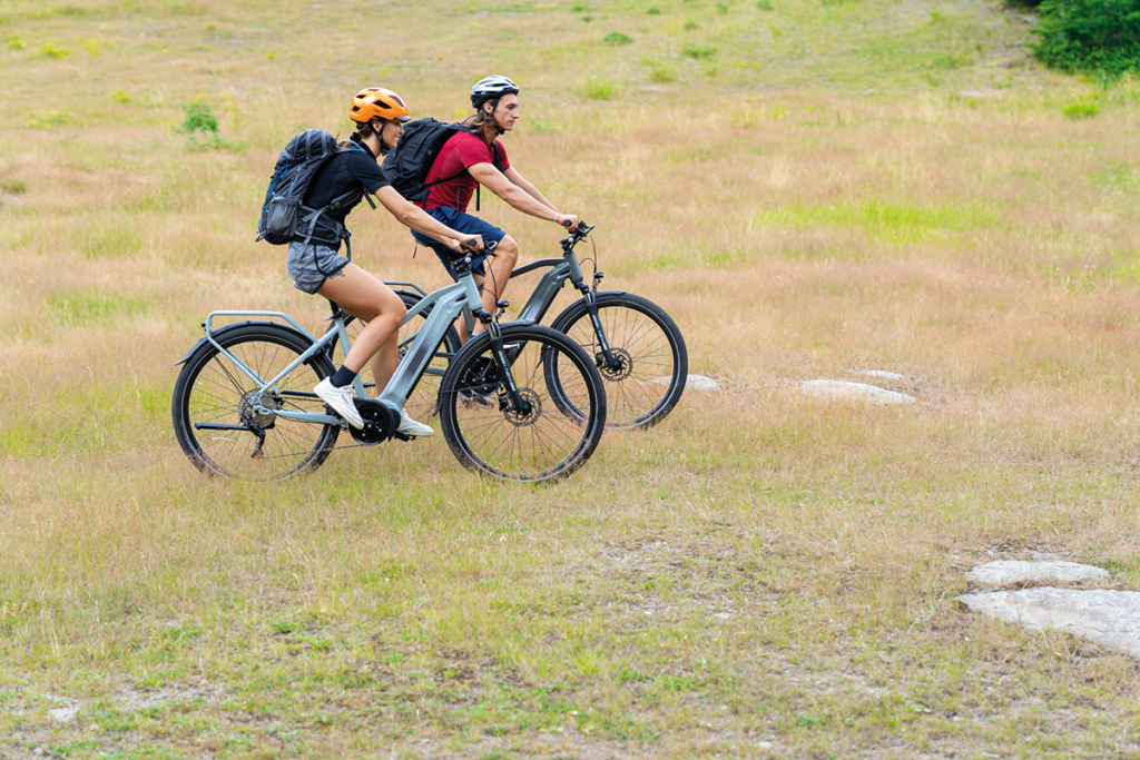 Acquista una bici elettrica WAYEL con gli incentivi regionali | www ...