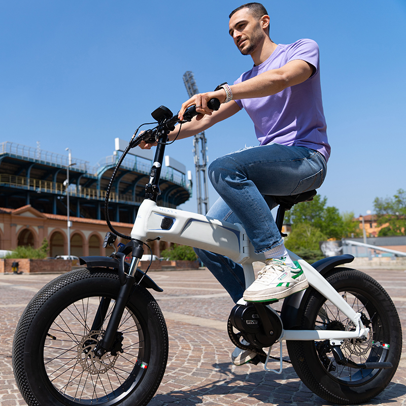 NEXT+ fat e-bike | Wayel electric bikes